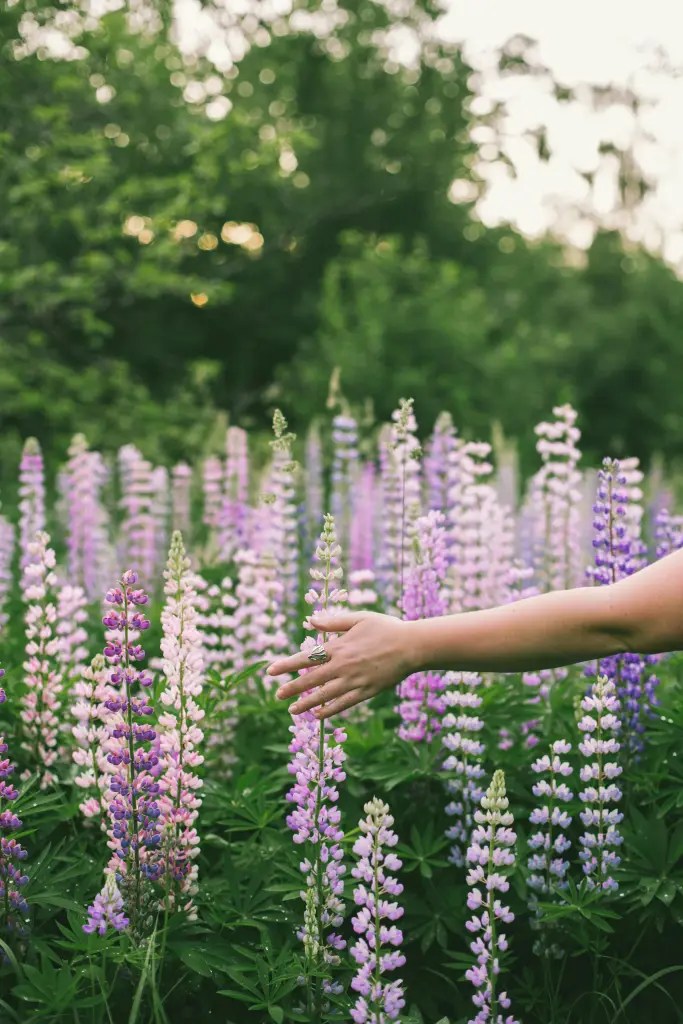 Angela Nguyen, LCSW – Affirming, Compassionate Therapy For You